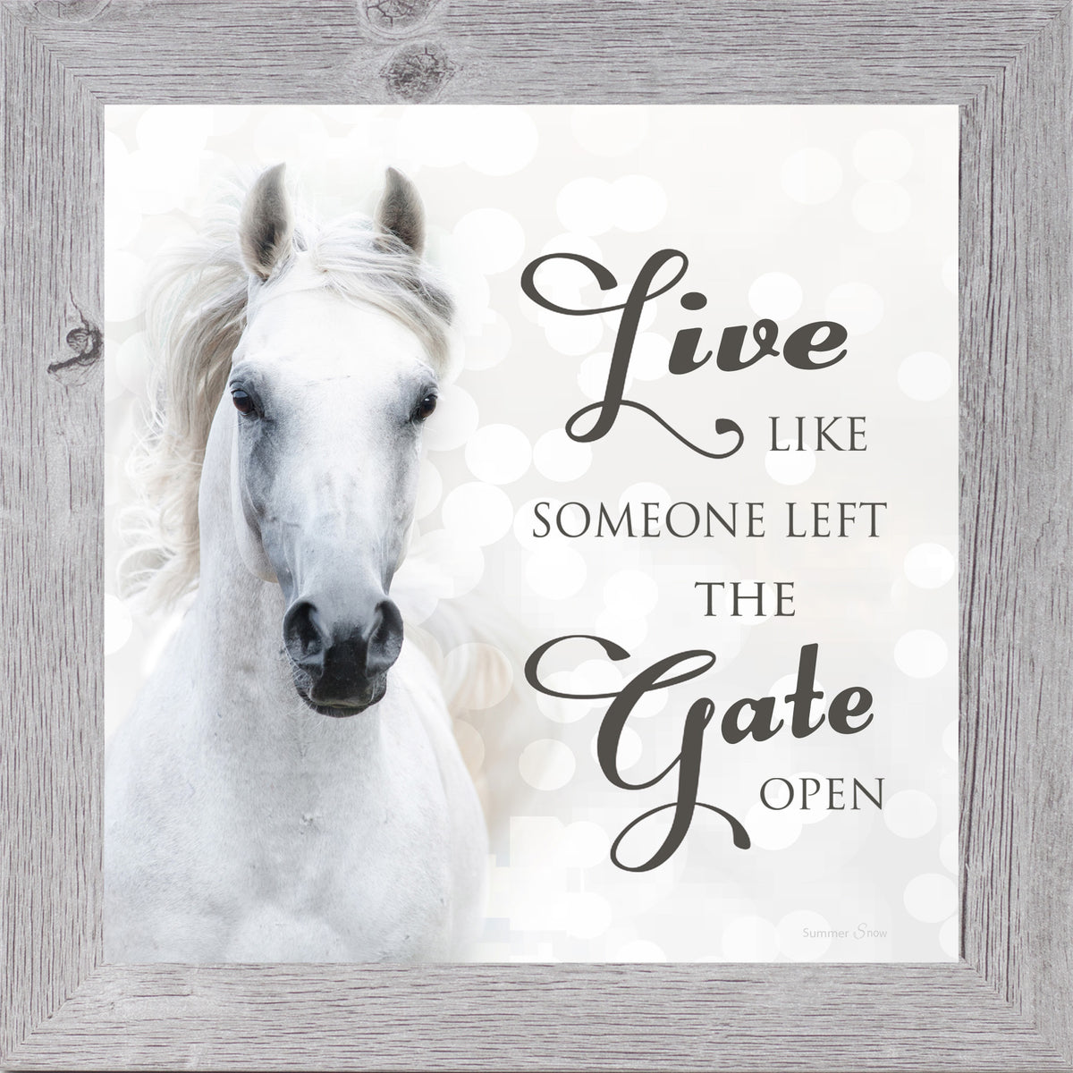 Live Like Someone Left the Gate Open Wall Art | Horse Inspirational ...