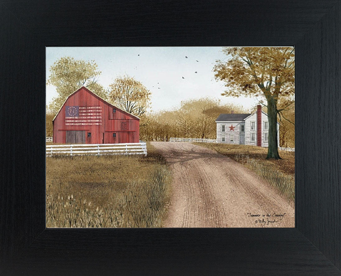 Summer in the Country Framed Art by Billy Jacobs | Farmhouse Wall Decor ...