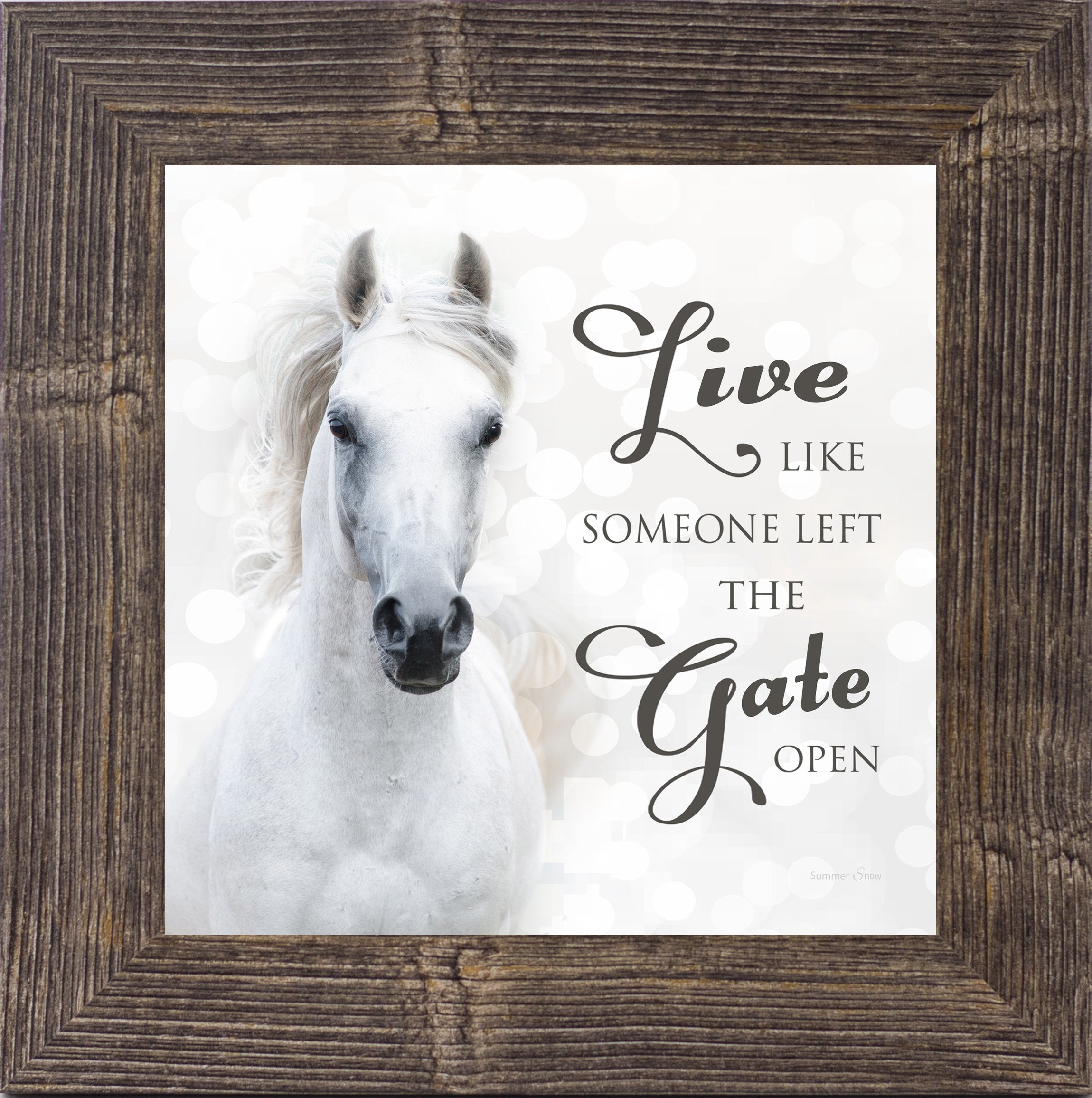Live Like Someone Left the Gate Open by Summer Snow SS838 – Summer Snow Art